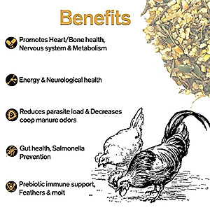 Fowl Treats Naturally Fortified Treats – Protein Rich Supplement Suitable for Chickens, Hens and Ducks, Hand Mixed with USA Grown Ingredients – Equinox Blend – 32oz