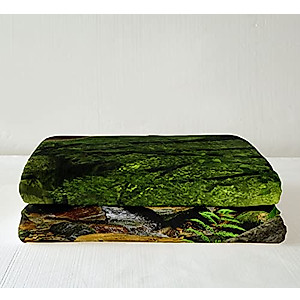 Green Nature Throw Blanket Natural Scenery Fleece Blanket 3D Trees Bed Blanket for Couch or Bed Nature Landscape Blanket Soft Warm Lightweight for Kids Adults Women Gift(40x50 Inches)