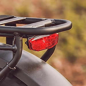 Hipeak Bona Electric Bike for Adults, Ebike 750W/48V/15Ah, 20" x 4.0" Fat Tire Electric Bike Folding with Removable Battery, Step-Over Folding Adult Electric Bicycles Front Shock Absorber