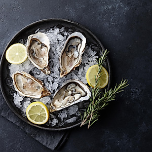 SEJONG COOK Oyster Shucking Knife, Commercial Grade Clam and Shellfish tool With Ergonomic Grip And Wood Handle, Good For Home Restaurant Kitchen And Outdoor (2.5T Stainless Steel)