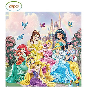 Hysnol Princess Birthday Party Tableware Supplies, 20 Plates and 20 Napkins, for Princess Theme Birthday Party Decorations