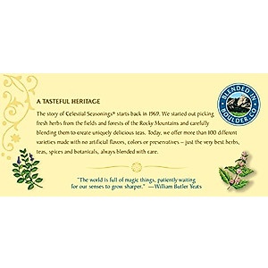 Celestial Seasonings Herbal Tea, Mint Magic,Caffeine Free, 20 tea bags (Pack of 6)
