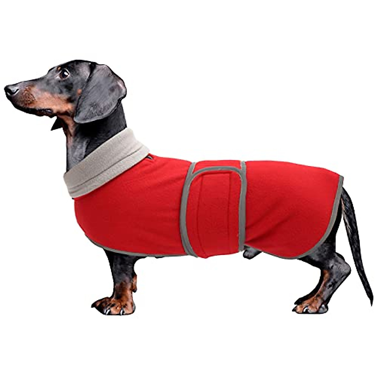 Dachshund Coats Sausage Dog Fleece Coat in Winter Miniature Dachshund Clothes with Hook and Loop Closure and high vis Reflective Trim Safety - Red - XS