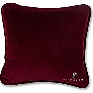 FURBISH Handmade Needlepoint Decorative Throw Pillow - Apres All Day - 10" x 10" - Small Embroidered Accent Pillow for Bed, Chair, Couch, Sofa - Aesthetic Apres Ski House Decor