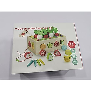 Bravmate Toddlers Montessori Educational Toys for Kids Age 2 3 4 Years Old, Shape Sorting Toys for Boys Girls 2-4, Wood Preschool Learning Fine Motor Skills Game