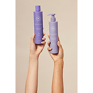 Innersense Organic Beauty - Natural Bright + Balanced Purple Toning Shampoo + Conditioner Value Duo | Non-Toxic, Cruelty-Free Haircare (10 fl oz | 295 ml)