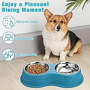Dog Bowls Double Dog Water and Food Bowls Stainless Steel Bowls with Non-Slip Resin Station, Pet Feeder Bowls for Puppy Medium Dogs Cats