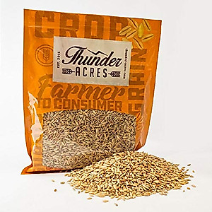 Thunder Acres Cat Grass Blend - Wheat, Barley, Oats, and Rye Seed Mix - Non-GMO - Certified Organic - Bonus CAT Toy (8 oz)