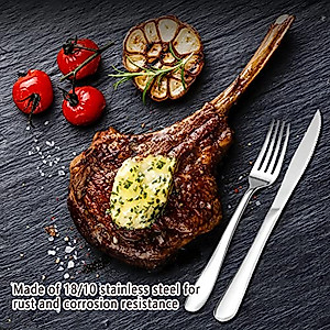 SANTUO 12-piece Dinner Knives, Serrated 18/10 Stainless Steel Steak Knife Set of 12 (9.05 -inch)