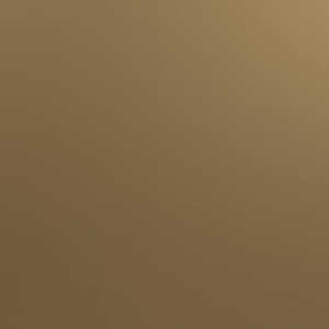 Little Seeds Monarch Hill Clementine Canopy Bed, Twin Size Frame, Gold