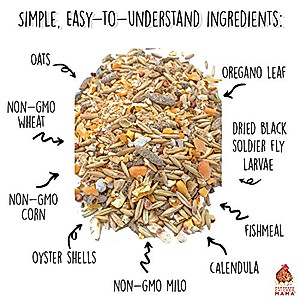 Pampered Chicken Mama Backyard Chicken Feed with Black Soldier Fly Larvae Grubs Soy Free & Herbs (10 Pounds) Non-GMO Layer Pellets: High Protein All-Natural Grower Feed Supplies for Laying Chickens
