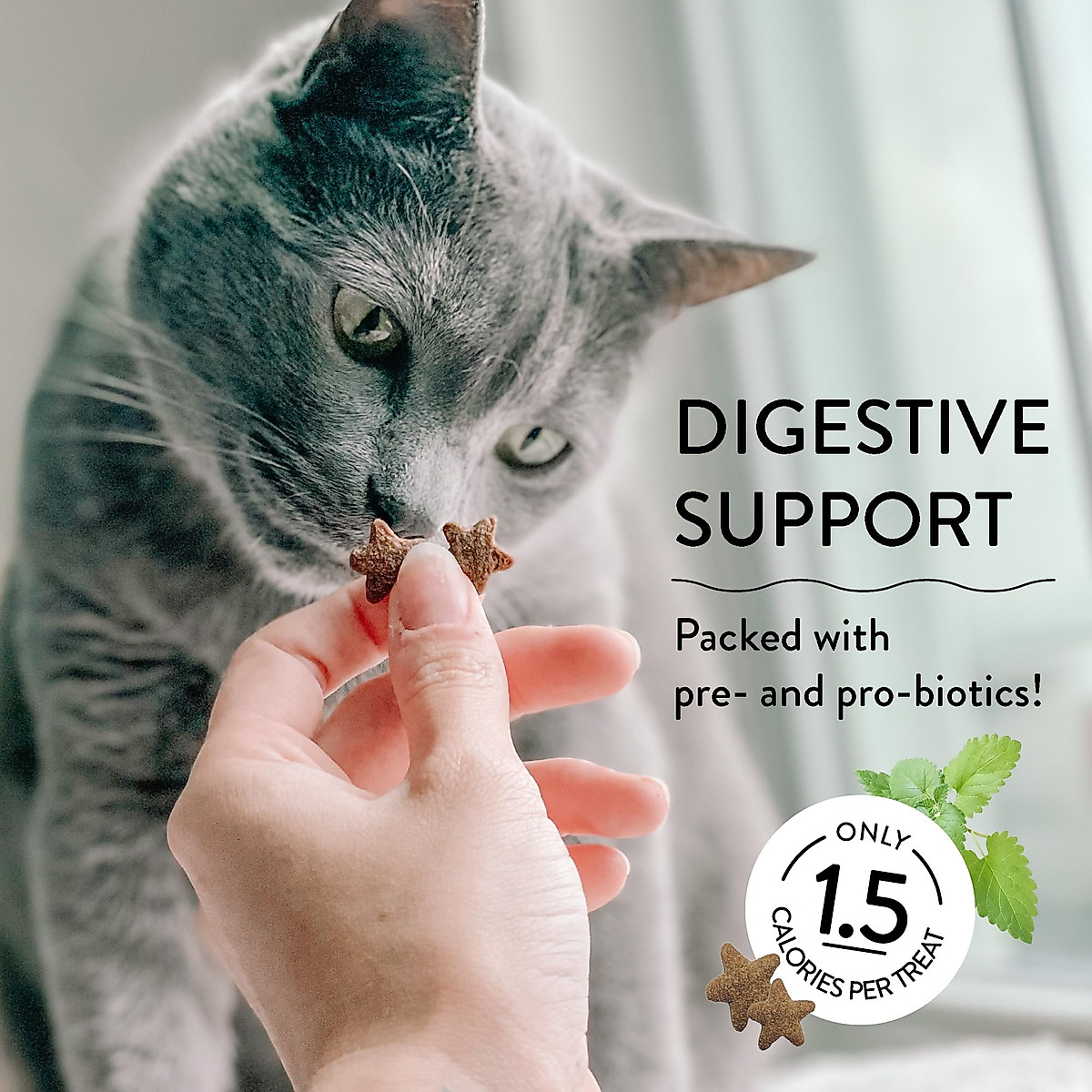Shameless Pets Crunchy Cat Treats - Catnip Treats for Cats with Digestive Support, Kitten Treats with Real Chicken, Natural & Healthy Flavored Feline Snacks - Catnip N Chill, 1-Pk (12 Oz)