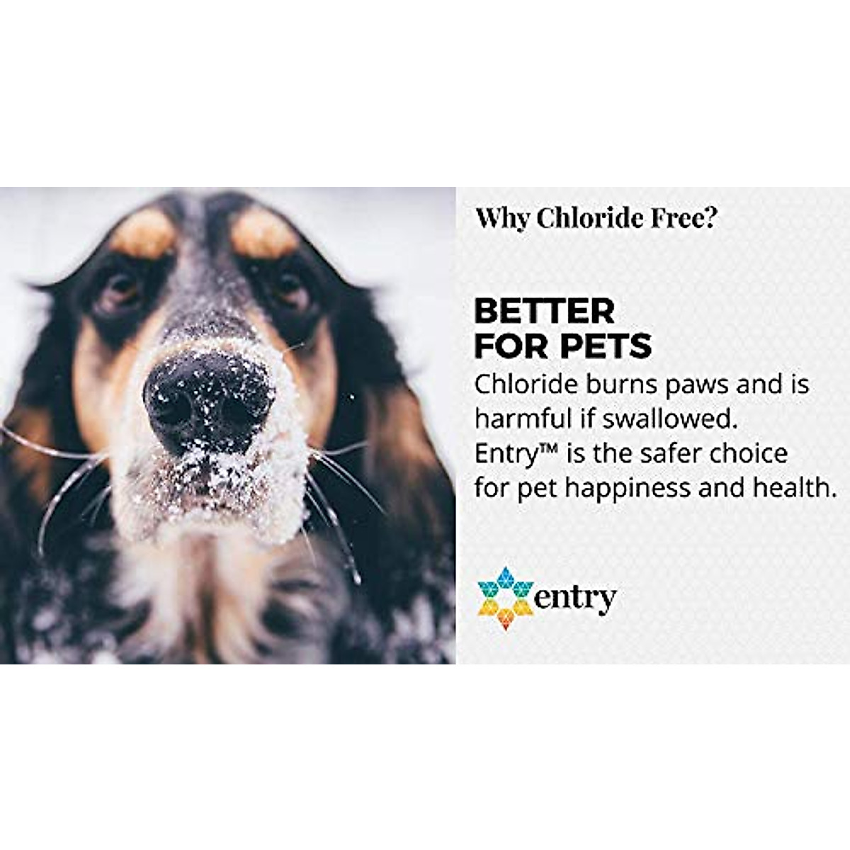 Branch Creek Entry Chloride-Free, Non-Toxic Liquid Ice Melt and Manual Pump Sprayer Bundle - Quick, Clean and Optimal Application–for Entrances and Sidewalks of Residential Properties (0.5 Gallon)