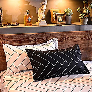 LAMEJOR Duvet Cover Set Queen Size Chevron Geometric Style Reversible Luxury Soft Bedding Set Comforter Cover(1 Duvet Cover+2 Pillowcases) Black/White