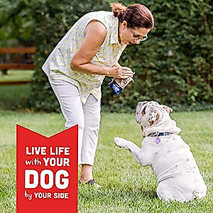 Cloud Star, Dynamo Hip & Joint Bacon & Cheese, 14 Ounce