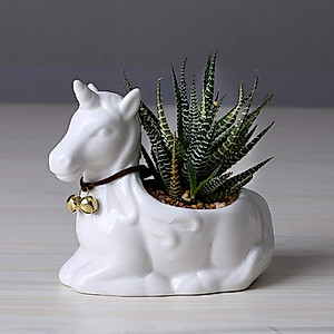 1pc Mini Succulent Pot indoor planters animal flower pot Flower planting Pot decorative pot planter unicorn Planter flower pot table decoration garden planters white cactus Cartoon