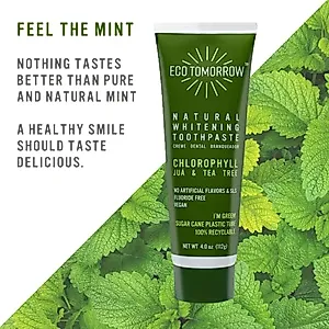 EcoTomorrow Tea Tree Chlorophyll Whitening Toothpaste with Peppermint Essential Oil and Natural Juá - Fluoride Free, Plant Based, Vegan - 4.0oz (Pack of 3)