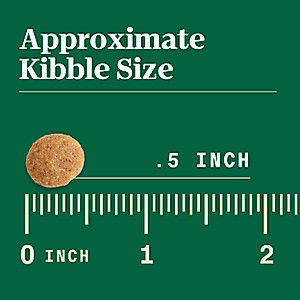 Nutro Max Large Breed Puppy Dry Dog Food with Farm-Raised Chicken, 25 lb. Bag