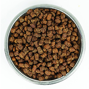 Stella & Chewy's Wild Red Dry Dog Food Raw Coated High Protein Wholesome Grains Red Meat Recipe, 3.5 lb. Bag