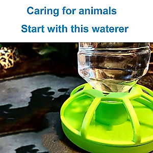 Bilindasly 1PCS Reptile Food Dish Automatic Water Drinker Dispenser Feeding Bowl Lizard Tortoise Feeder Round Dish Terrarium Dish Drink Bottle for Turtle Tortoise Lizard