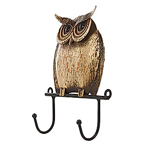 DOITOOL Rustic Decorative Owl Wall Hooks Cast Iron Owl Key Holder Wall Mounted Owl Hangers for Keys Coats Towels Bags in Kitchen Living Room Farmhouse DÃcor