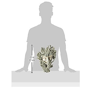 Design Toscano Bashful Wood Sprite Tree Face Mystic Decor Wall Sculpture, 9" Wx5 Dx13 H, Two Tone Stone