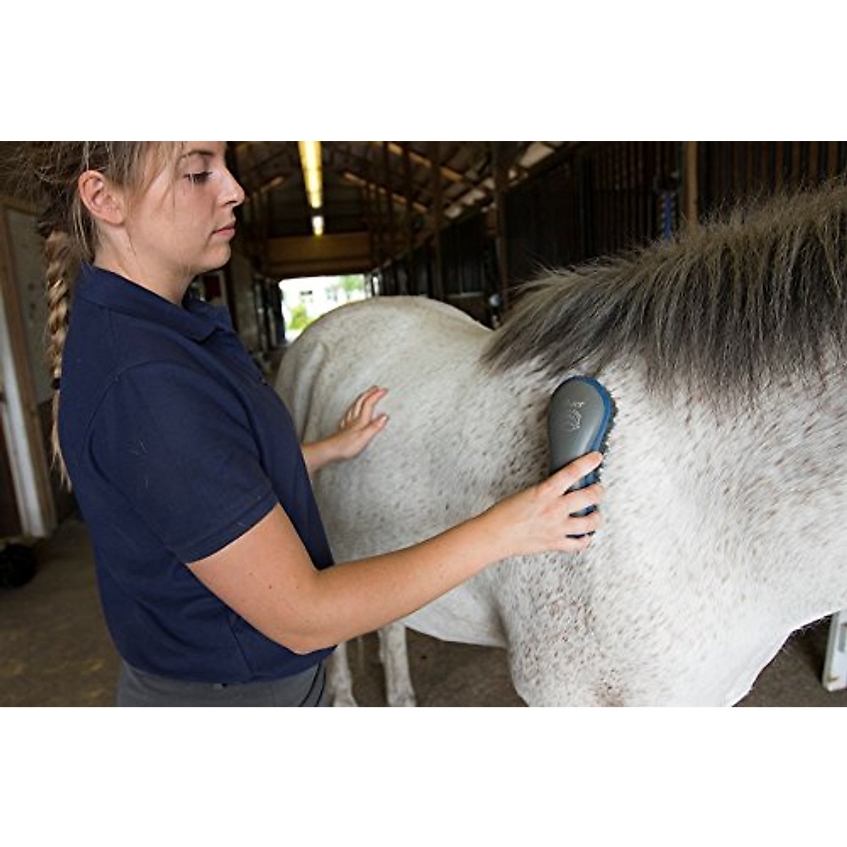Oster Equine Care Series 7-Piece Horse Grooming Kit