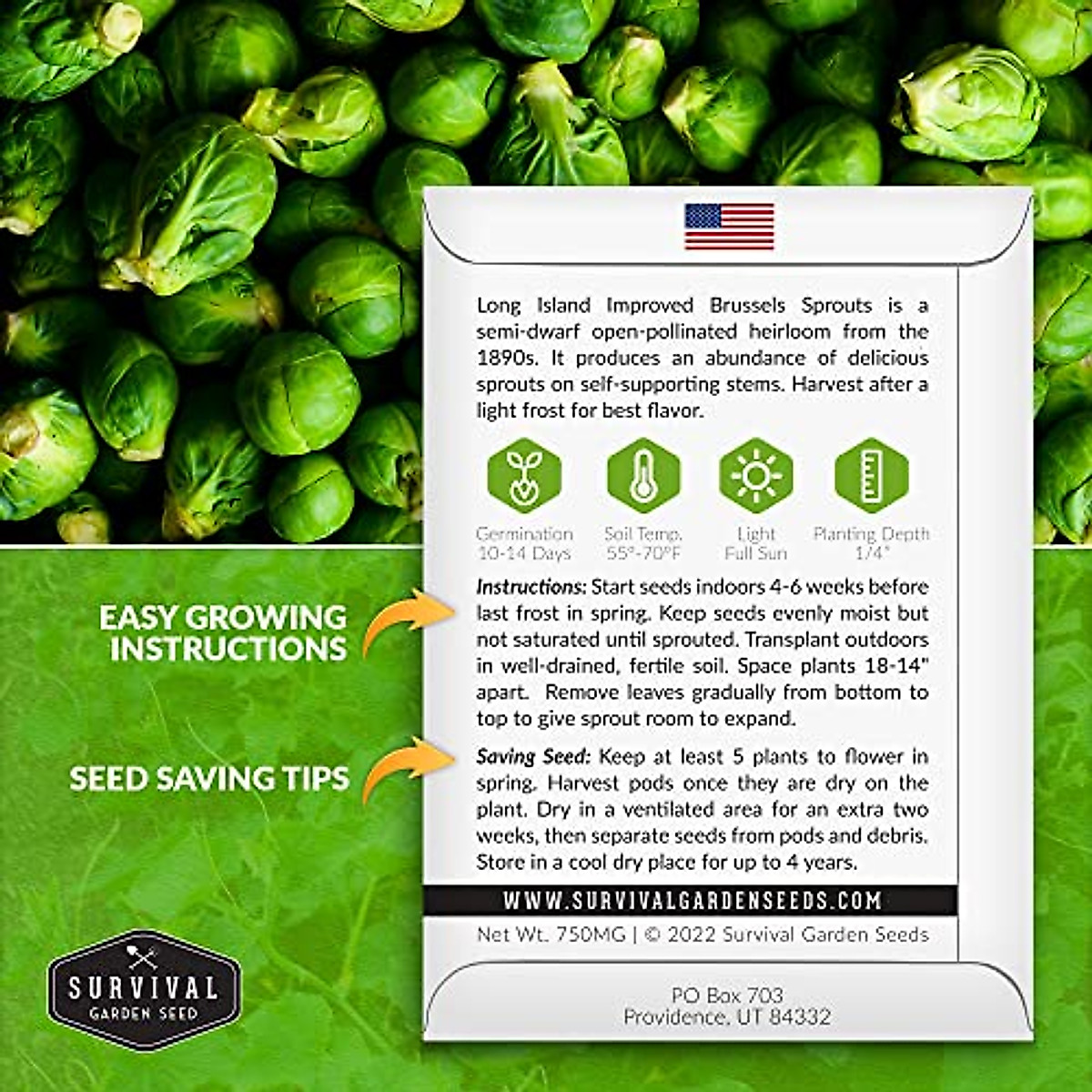 Survival Garden Seeds - Long Island Improved Brussels Sprouts for Planting - Packet with Instructions to Plant and Grow Delicious Sweet Sprouts in The Home Vegetable Garden - Non-GMO Heirloom Variety