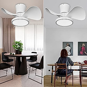 ocioc Quiet Ceiling Fan with LED Light 22 inch Large Air Volume Remote Control for Kitchen Bedroom Dining Room Patio