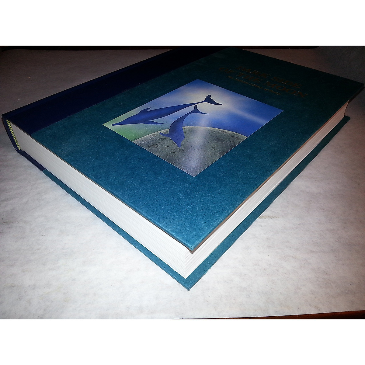 Dark Side of the Moon