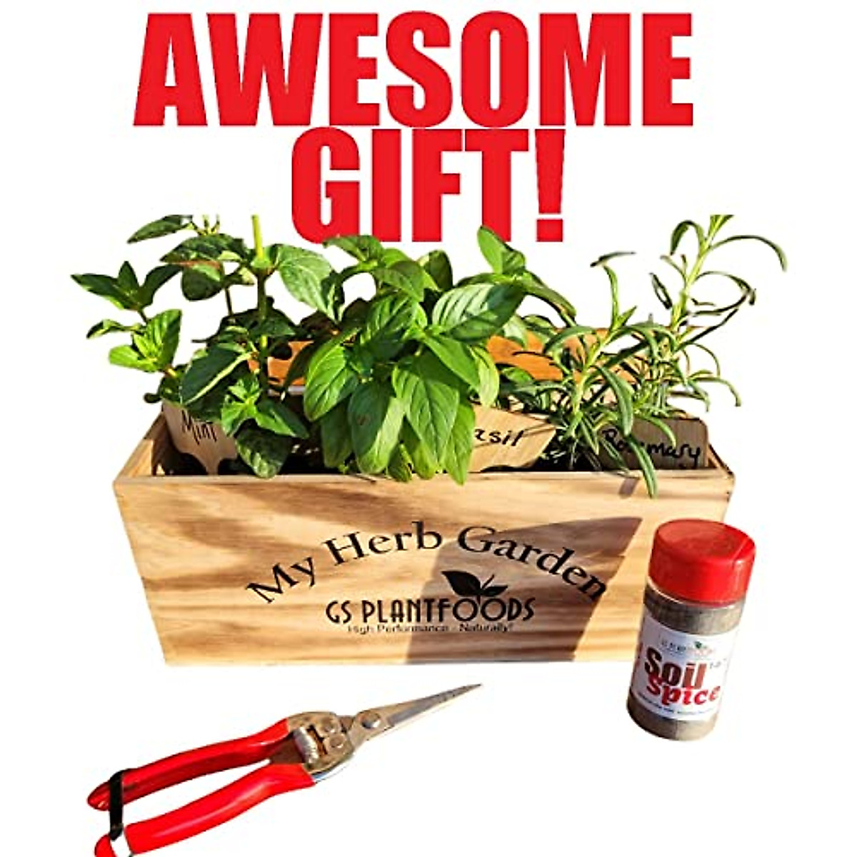 Herb Window Garden Gift Set- Complete windowsill herb Garden Growing kit Including Seeds, pots, Quality herb Clippers, Soil pods All in a Beautiful Planter Box. Hands on Gift Set.