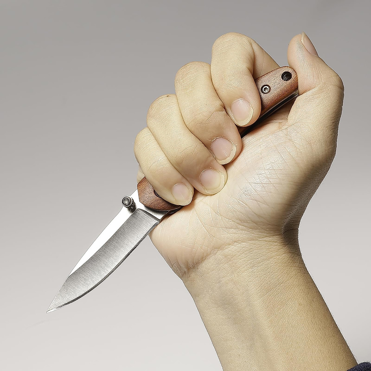 BARRYSAIL Small Pocket Knife, Folding Knife with 2.4 Inch Blade, Liner Lock, Wood Handle for EDC, Outdoor Camping, Survival (Polished)