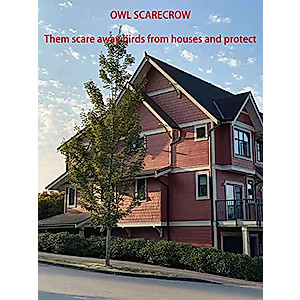 AndBird Plastic Owl Decoy to Scare Birds Away with Rotating Head/Eyes,Garden Owl for Bird Control,Owl Scarecrow Statues as The Yard Decoration,Shape Outdoor