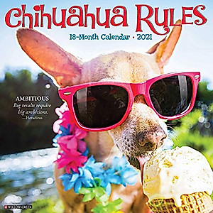 Chihuahua Rules 2021 Wall Calendar (Dog Breed Calendar)