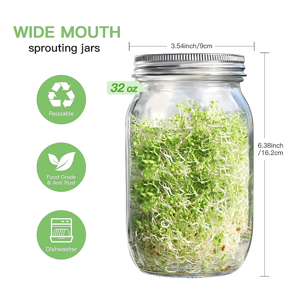 SBMKK Seed Sprouting Jar Kit - 2 Wide Mouth Mason Jars with 316 Stainless Steel Sprouting Lids Covers, Drip Tray and Stand for Growing Broccoli Alfalfa Beans Sprout (Two Jars)
