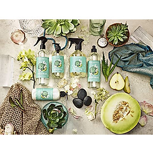 Caldrea Dish Soap, Biodegradable Dishwashing Liquid made with Soap Bark and Aloe Vera, Pear Blossom Agave, 16 oz , 3 Pack