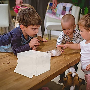 POPETPOP Pet Playpen Glass Hamster Cage Hamster Cage Acrylic Chinchilla House Habitat Mice Transparent Cage Small Pet Breeding Box for Your Small Pet 25X20X15CM Hamster Carrier Pet Toys