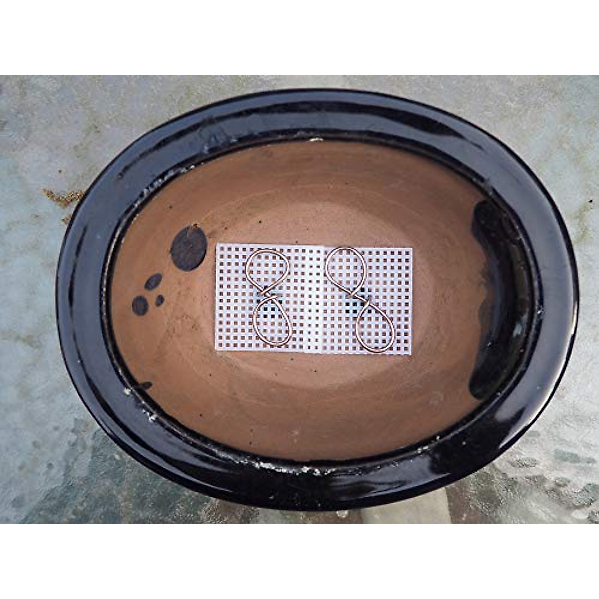 Grow A Bonsai Tree 50 Count 2x2 Inch Rigid Bonsai and Flower Pot Drainage Mesh Screens