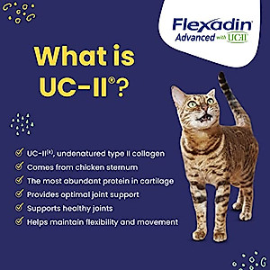 Vetoquinol Flexadin Advanced Dog Hip and Joint Supplement with UC-II Collagen, One Chew a Day Hip and Joint Support Chew for Dogs and Cats, Clinically Proven Vet-Approved Formula, 60 Chews