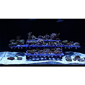 Innovative Marine Reef Rack - Coral Frag Rack (102)