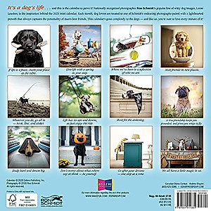 2021 Dogma: A Dogs Guide to Life Mini Calendar