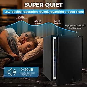HIPOPLLER Compact Refrigerator, 1.42 cu.ft 110V Quiet Mini Fridge, Reversible Door with Lock, Energy Efficient Beverage Cooler for Bedroom Dorm RV Hotel Office, Black