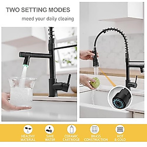 BESy 20 Inch Black Kitchen Faucet with Pull Down Sprayer, Dual Morden Commercial Rv Single Handle Single Hole Double Spout LED Spring Kitchen Sink Faucet with Pot Filler, Matte Black, Brass