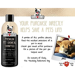 Pet Oatmeal Anti-Itch Shampoo & Conditioner in One! Smelly Puppy Dog & Cat Wash! Relief for Allergies, Itchy, Dry, Irritated Skin!! Smells Amazing! (1 btl)