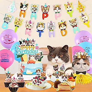 DECYOOL 39 Pcs Cat Birthday Decorations Cat Birthday Party Supplies, 2 Pcs Birthday Banner 3 Pcs Birthday Honeycombs 9pcs Birthday Balloons and 25 Pcs Cupcake Toppers for Kid cat lover
