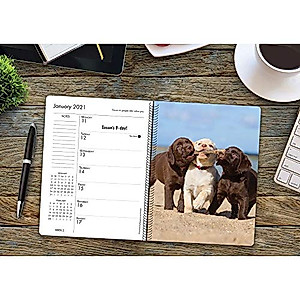What Labs Teach Us 2021 Engagement Calendar (Dog Breed Calendar)