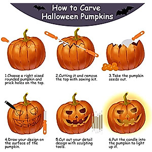 Pumpkin Carving KIT Halloween Pumpkin Carving Tools, Halloween 11 Piece Professional Stainless Steel Pumpkin Carving Kit, Pumpkin Cutting Supplies Tools Kit for Adults Kids Brand: