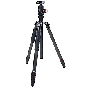 Sigma fp Mirrorless Digital Camera, Bundle with FotoPro X-Go Max Carbon Fiber Tripod & Memory Card Case