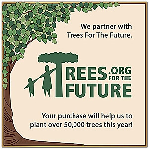 SJT ENTERPRISES, INC. Margarita - Take Life with a Grain of Salt, a Wedge of Lime and a Shot of Tequila 5" x 16" Funny Surfboard Décor Wood Plaque Bar Sign (SJT41305)