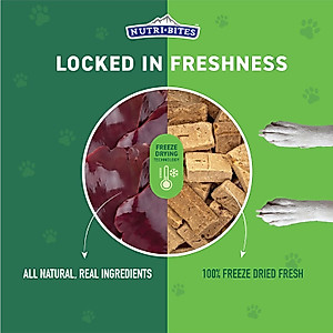 (Pack of 2) Nutri Bites Freeze Dried Beef Liver Treats for Dogs & Cats - High-Protein, Grain Free, Easy to Digest - Proudly Made in Canada - 500g / 17.6oz